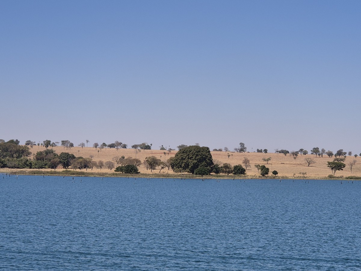 LDC aposta em escoamento por hidrovia e reduz dependência do transporte ...