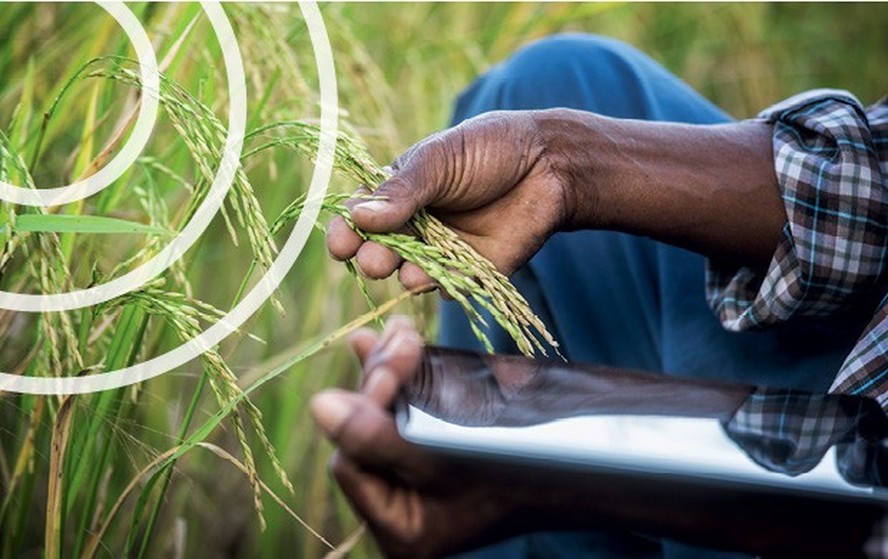 ICL inaugura hub para startups no Brasil e prevê investimentos a partir ...