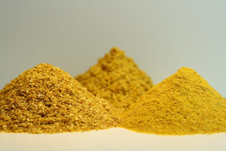 Chineses devem liberar importação de DDG brasileiro em 2025, diz ...