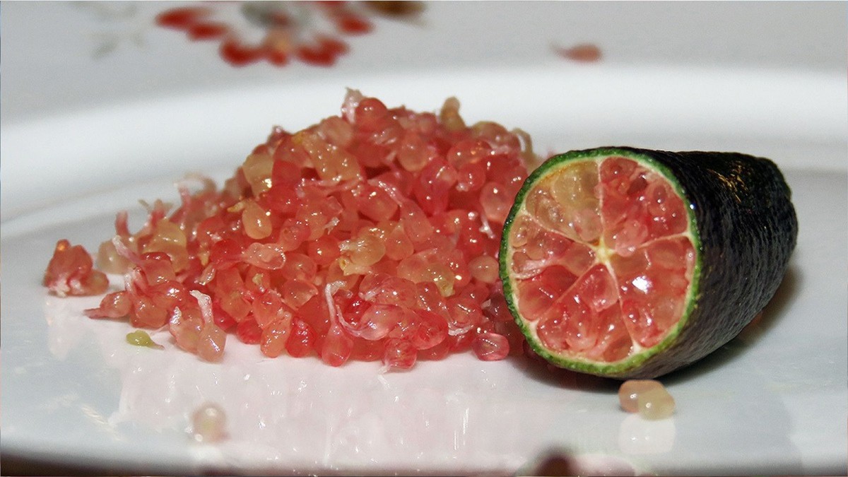 Conheça o limão-caviar, fruta exótica que pode custar mais de R$ 2 mil ...