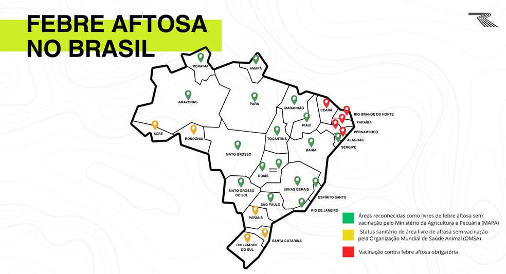 Quais Estados são livres de febre aftosa no Brasil? Veja o mapa
