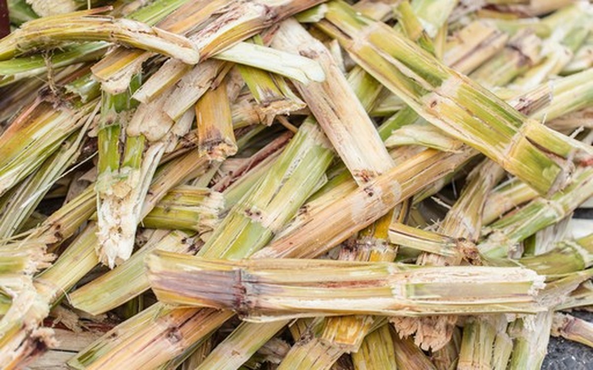 Moagem de cana do centro-sul caiu 2,36% até a primeira quinzena de ...