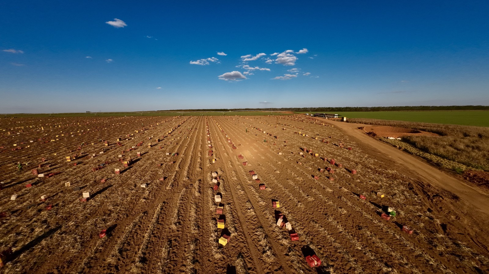 À frente do tempo: fazenda de Goiás adotou práticas sustentáveis antes ...