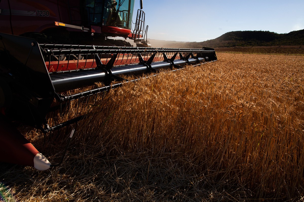 Inadimplência no crédito rural chegou a 7,4% em abril