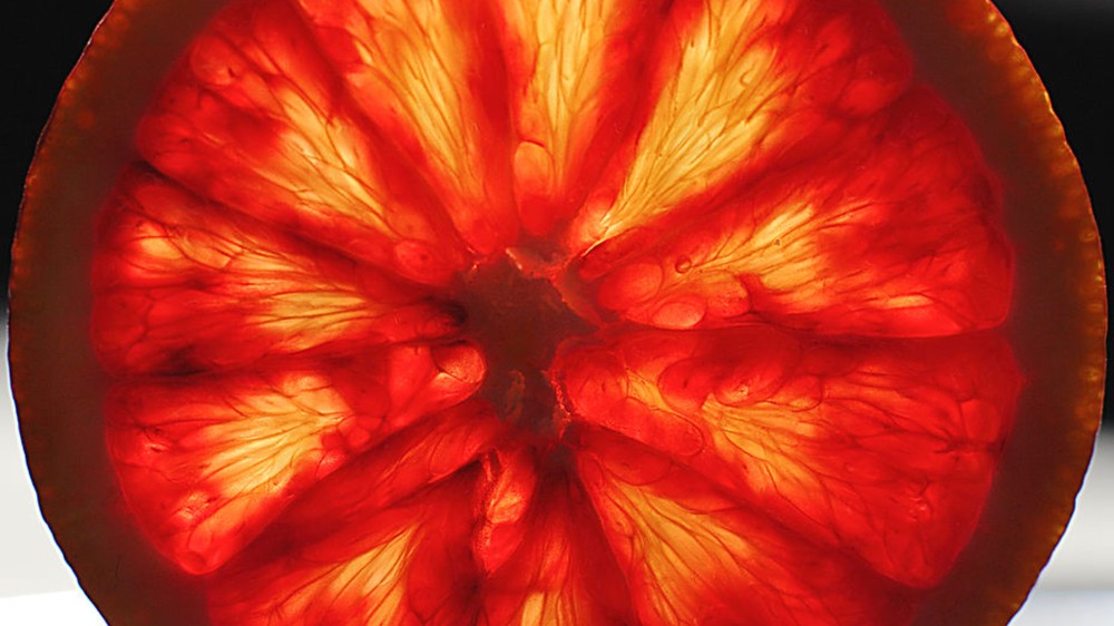 Existem mais de 5 tipos de laranja. Descubra se você conhece todas!