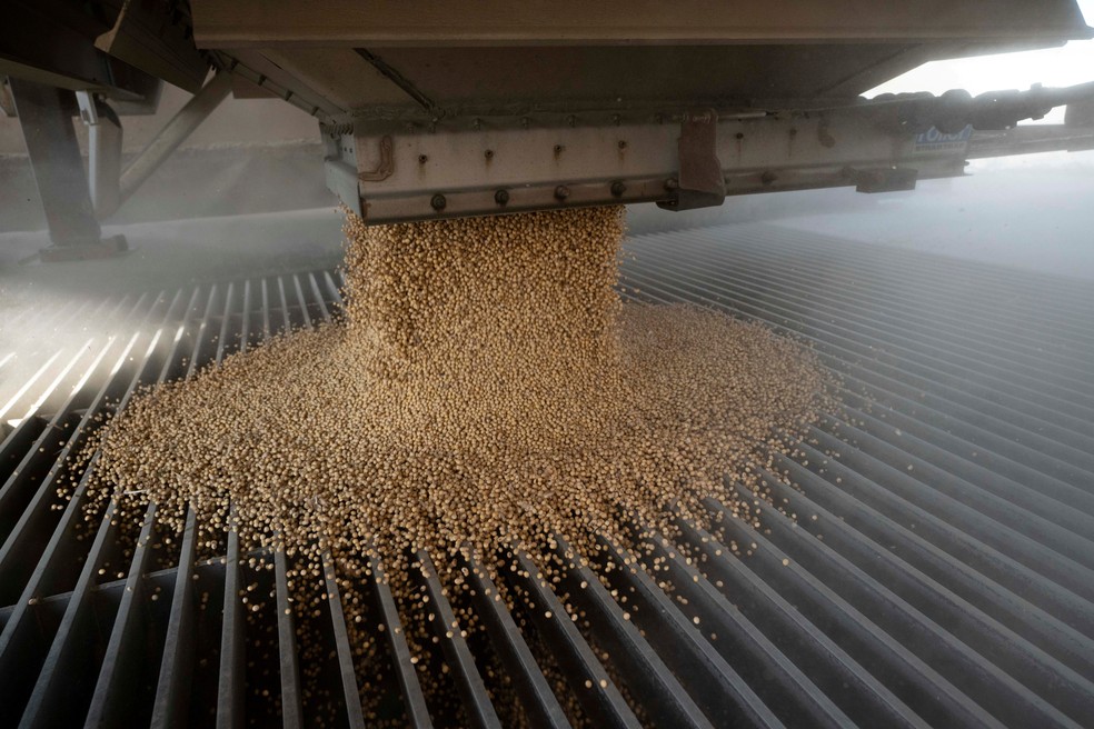 Plano Safra 2023/24 e alta do trigo em Chicago: veja os destaques do agro