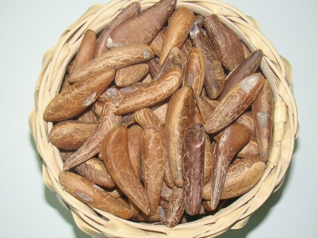 Pesquisa desenvolve primeira bebida e queijo à base de coco-babaçu do ...