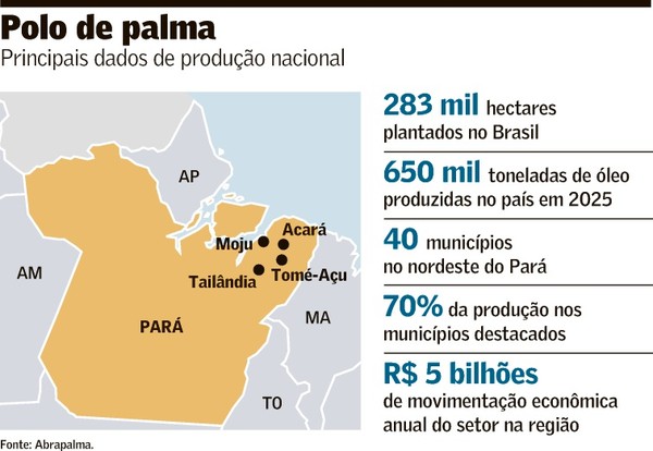Cota de importação para óleo de palma opõe processadoras e setor de ...