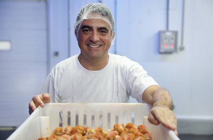 Raiar adota técnica para identificar sexo de embrião no ovo