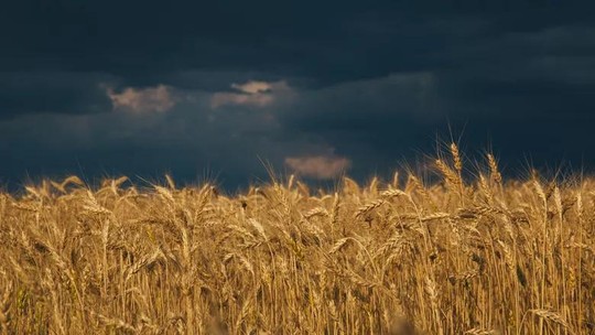 Por que o El Niño preocupa a agricultura no Sul do Brasil?