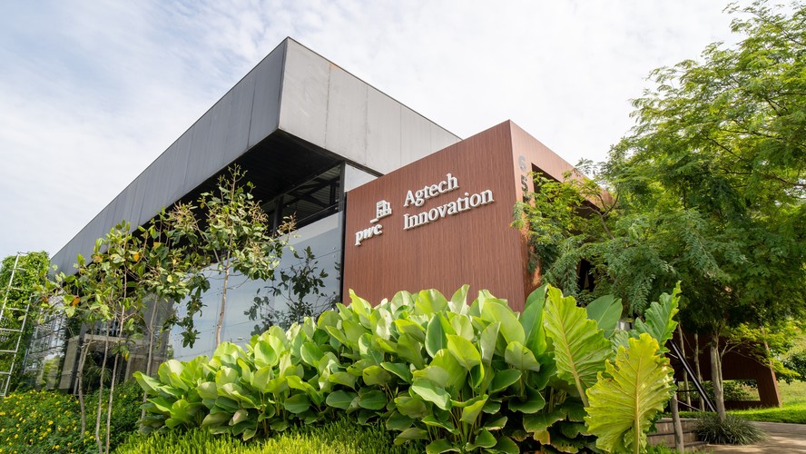 PwC Agtech Innovation firma parceria com rede de investimento-anjo