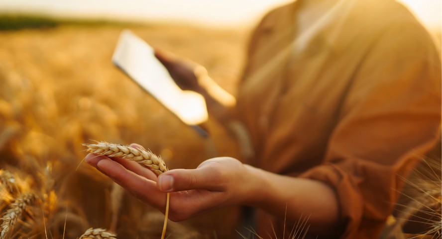 Concurso Embrapa: como ver o resultado das provas objetivas