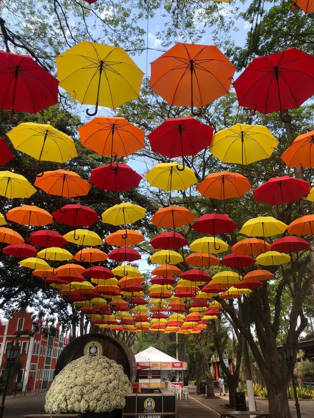 Flores e sabores devem atrair 400 mil visitantes à 40ª Expoflora