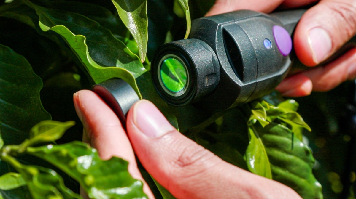 ICL investe R$ 8 milhões em ferramenta de análise de plantas