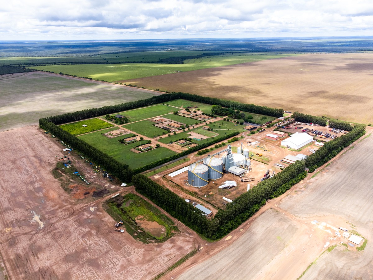 Brasilagro deve manter área de plantio, mas prevê produção maior em 2025/26