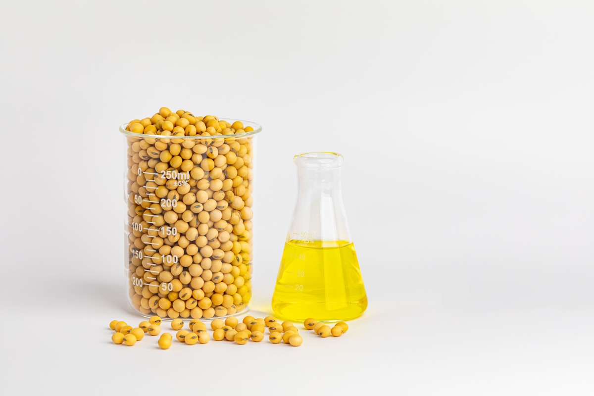 Dia do Biodiesel: entenda como é feito o biocombustível de soja - WOW News