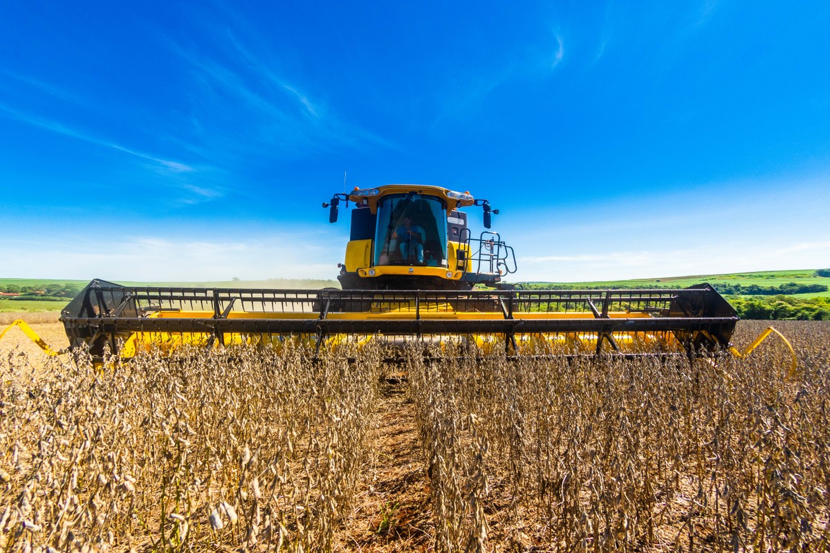 Soja cai em Chicago após USDA projetar safra recorde no Brasil