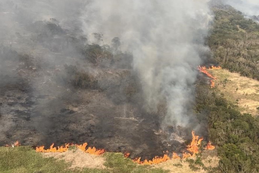 Áreas queimadas mais que dobram em um ano e atingem 5,65 milhões de ...