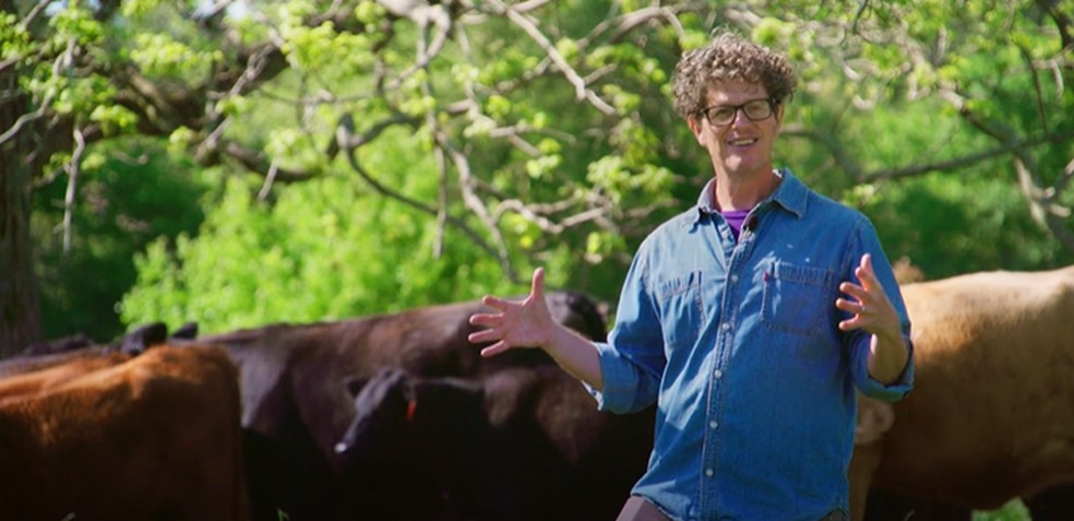 Gado pode ajudar a reduzir as emissões de CO²? Conheça o pastejo ...