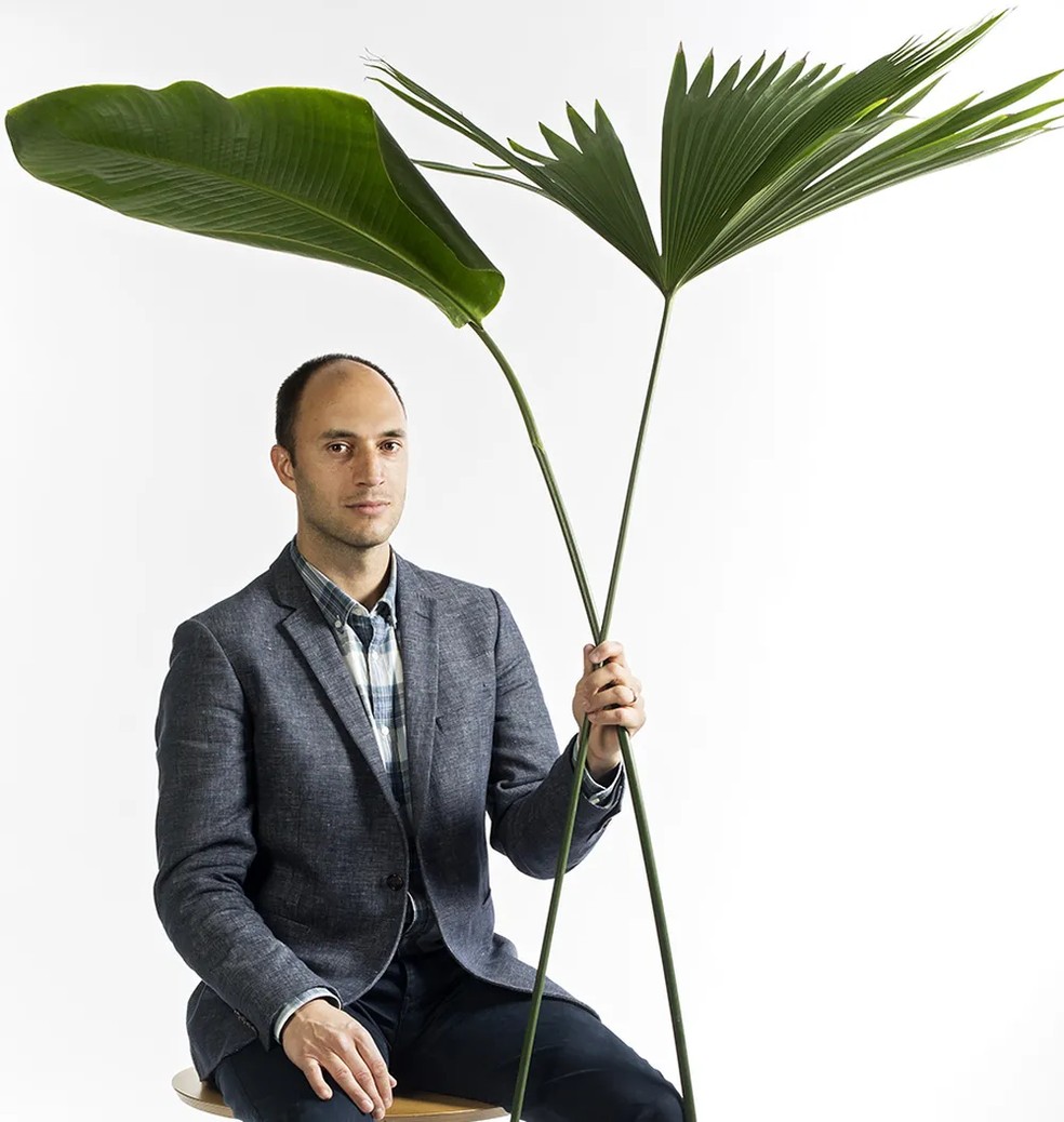 Quais são os alimentos com os dias contados e qual é o futuro da ...