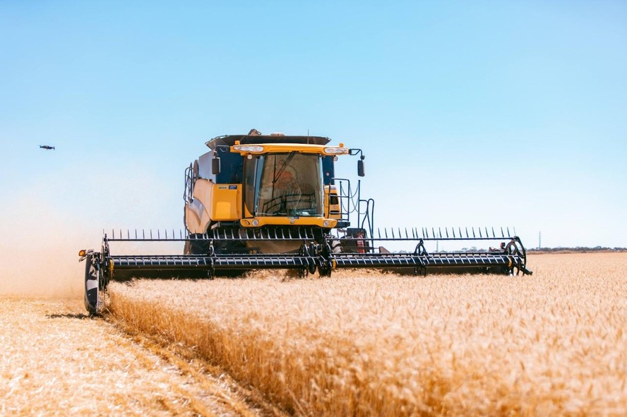 Embrapa supera metas de desenvolvimento do trigo no Cerrado