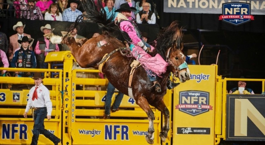 Nos EUA, peões de rodeio usam rosa em campanha contra câncer de mama