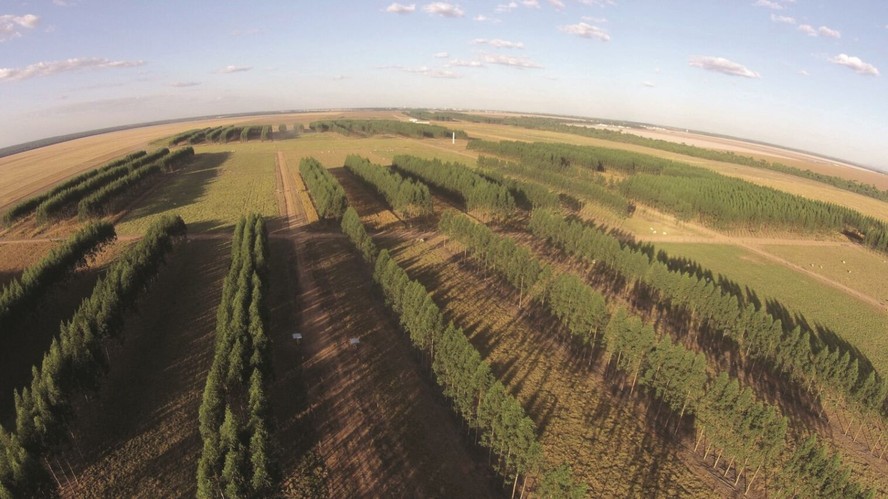 Condere e Ecoagro criam empresa de fusões e aquisições voltada ao agro