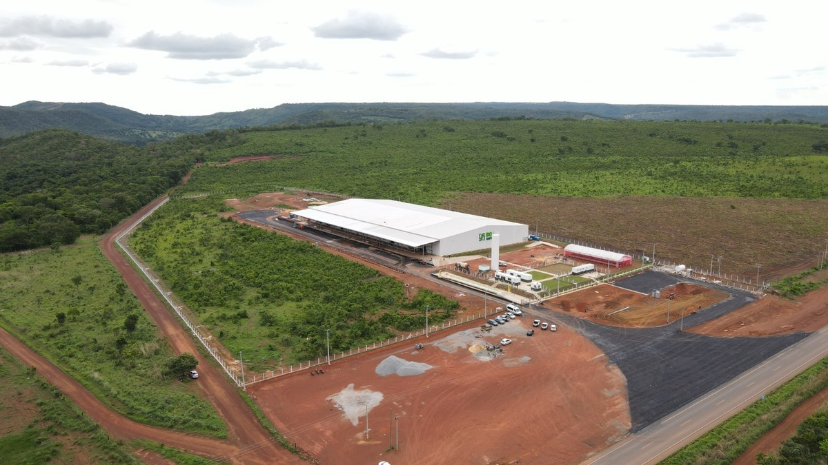 Boa Safra anuncia joint venture para atuar no mercado de agricultura ...