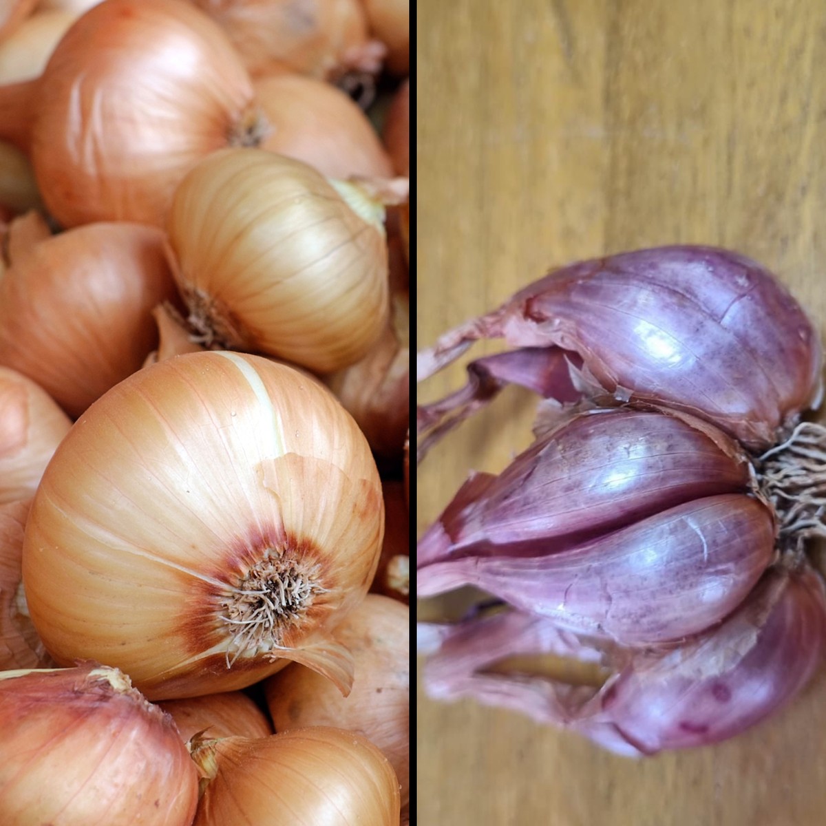 GR Responde: qual a diferença entre cebola e chalota?