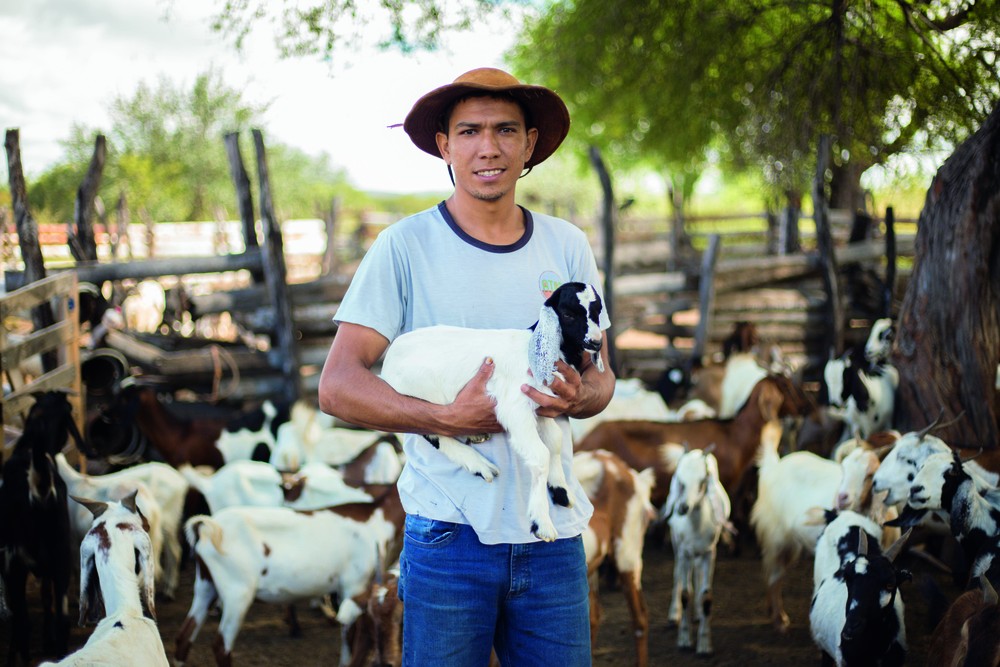 Criação de caprinos e ovinos é destaque da Globo Rural de junho/julho